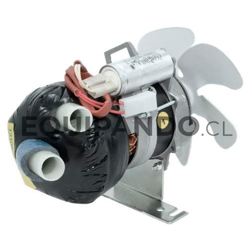MOTOR DE AGUA BREMA C300 – Alimenticia